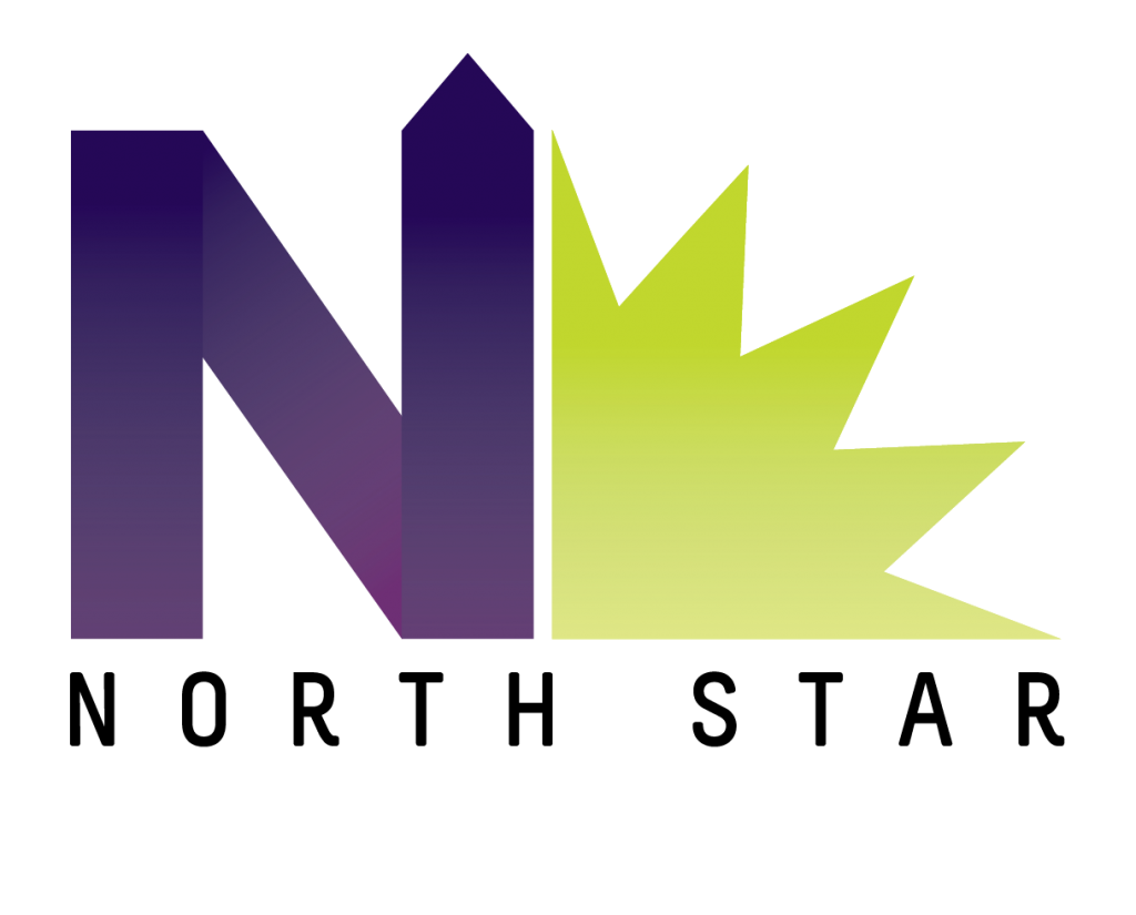 NorthStar_Logo_PNG-01 - North Star